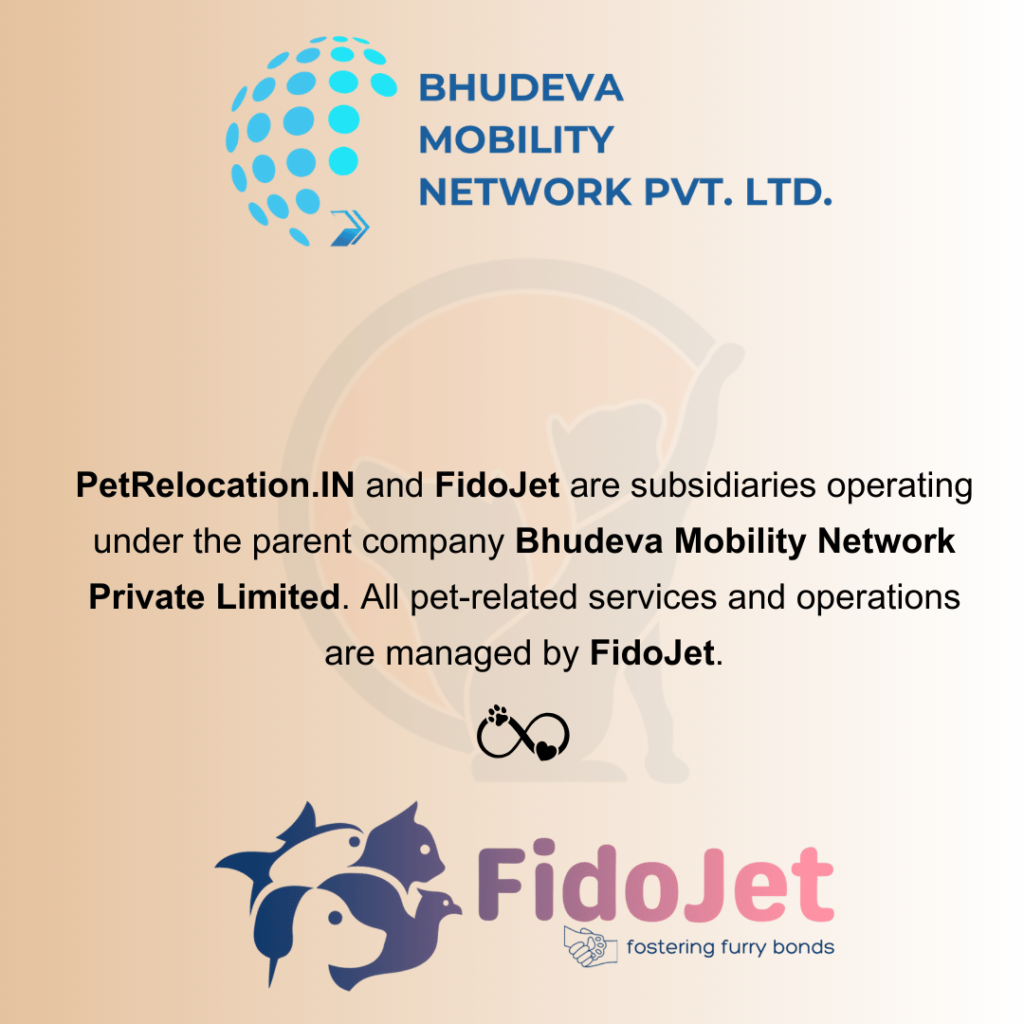 Best Pet Relocation Services Chennai | Safe & Reliable Pet Transport